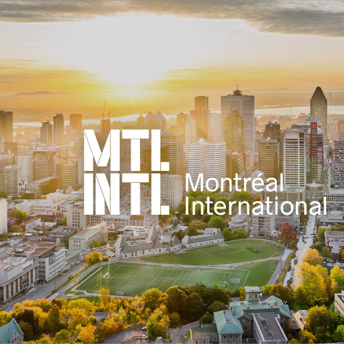 Xavier Chatte-Ruols : L’international pour horizon - Journal des ...